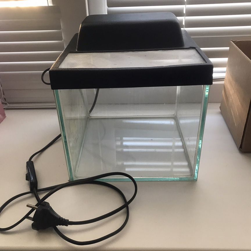 Террариум для рептилий