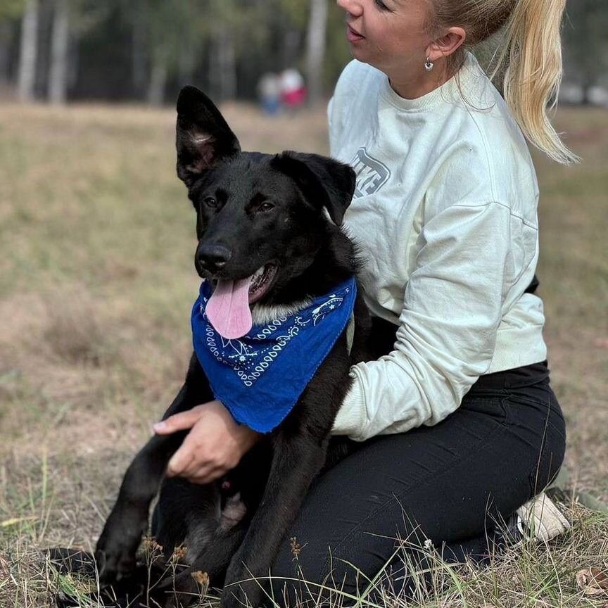 Щеночек Маффин в добрые руки