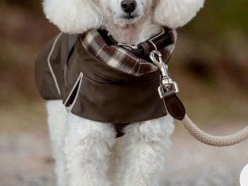 Новый Теплый дождевик Harri р.25