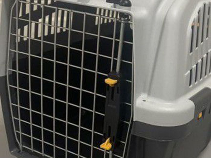 Переноска для мелких собак и кошек scudo 2