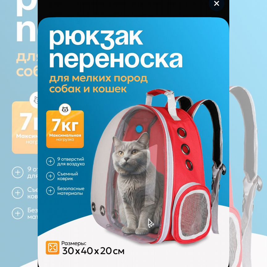 Переноска для кошек