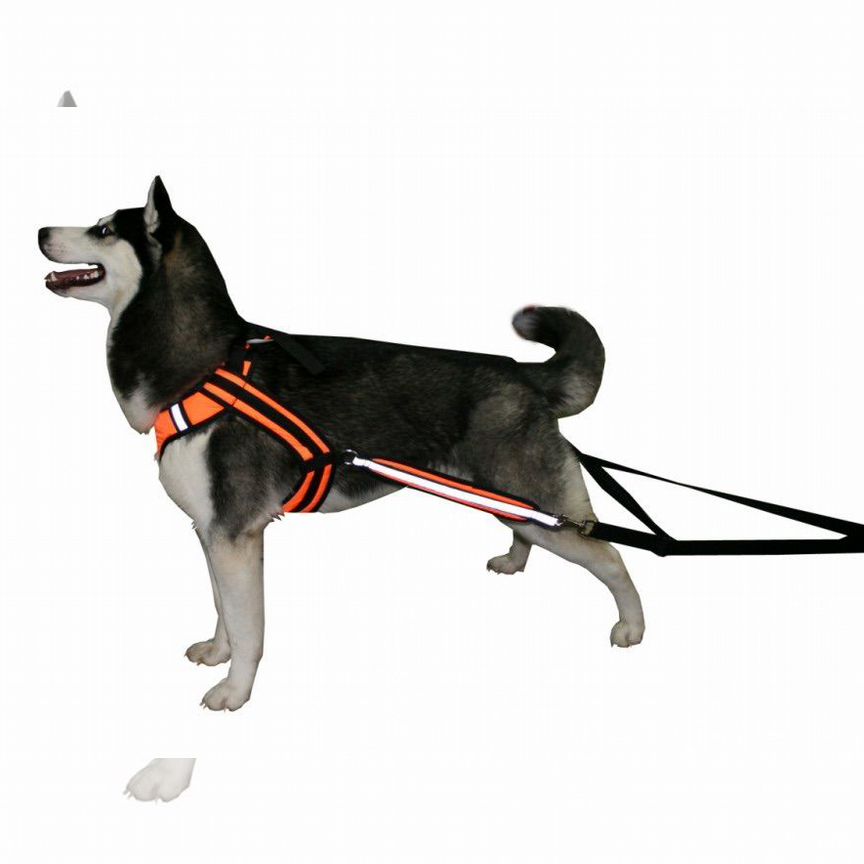 Шлейка ездовая для собаки