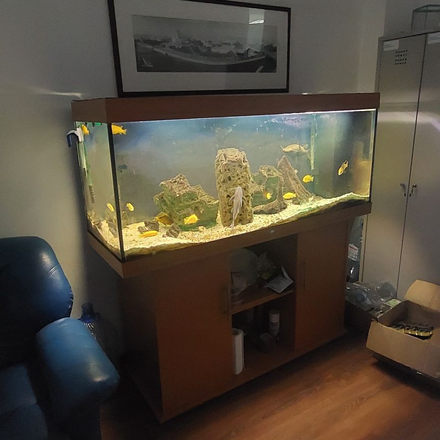 Аквариум Juwel Rio 450