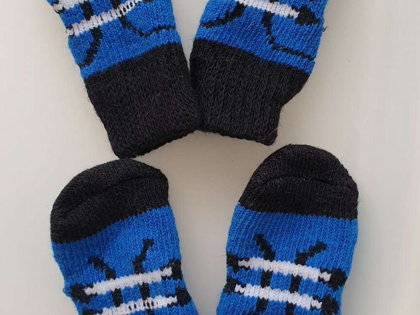 Новые носки для собачки мелкой породы