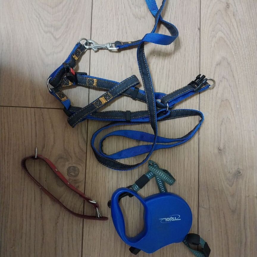 Шлейка поводок для маленьких собак