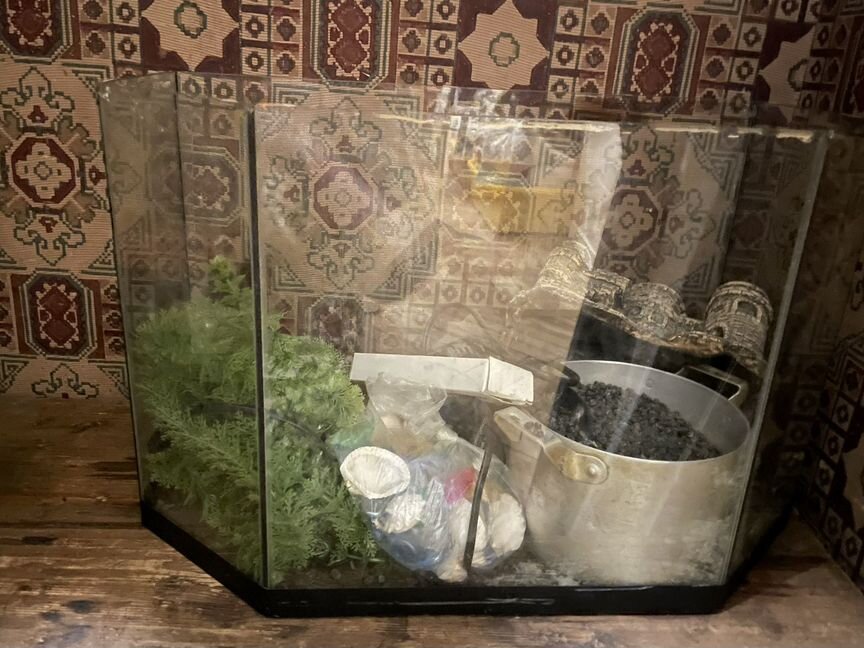 Аквариум с декором и оборудованием