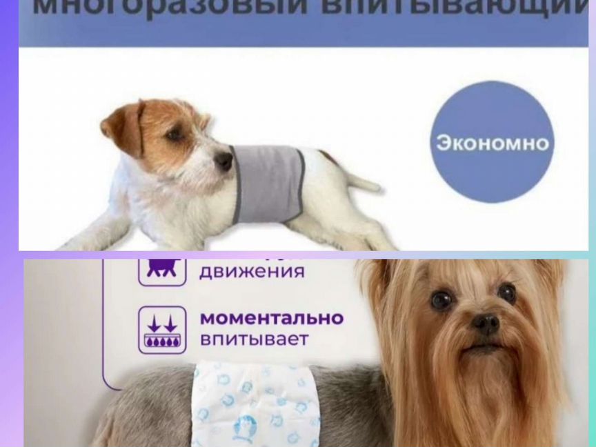 Пояс и Памперсы для кобелей