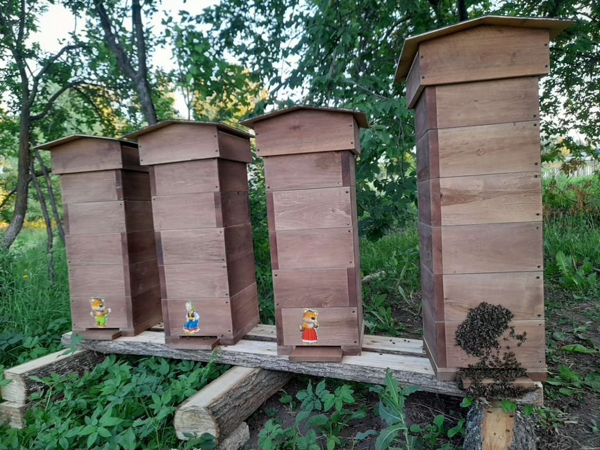 Японский улей можно с пчелами