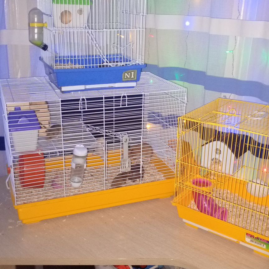 Клетка для грызунов бу