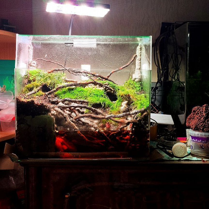 Террариум с крабами