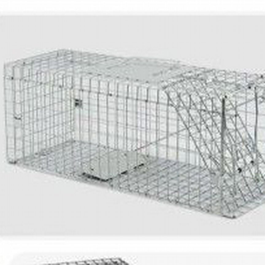 Кошколовка в аренду котоловка