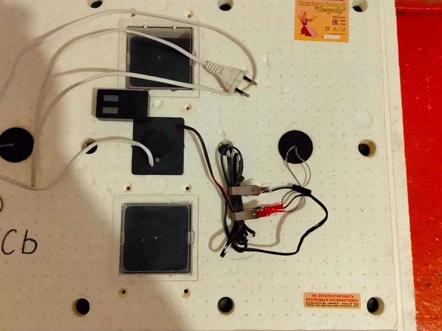 Инкубатор "Золушка"