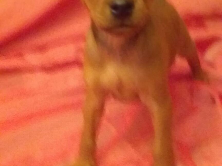 Самая лучшая девочка