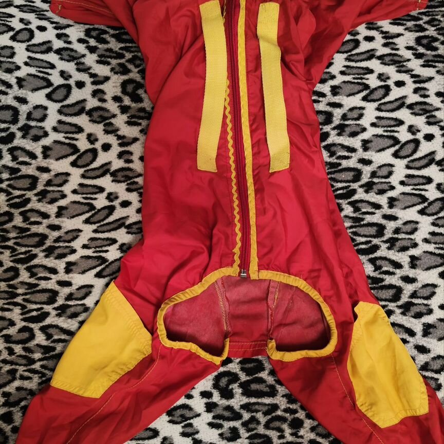 Костюмы для собаки