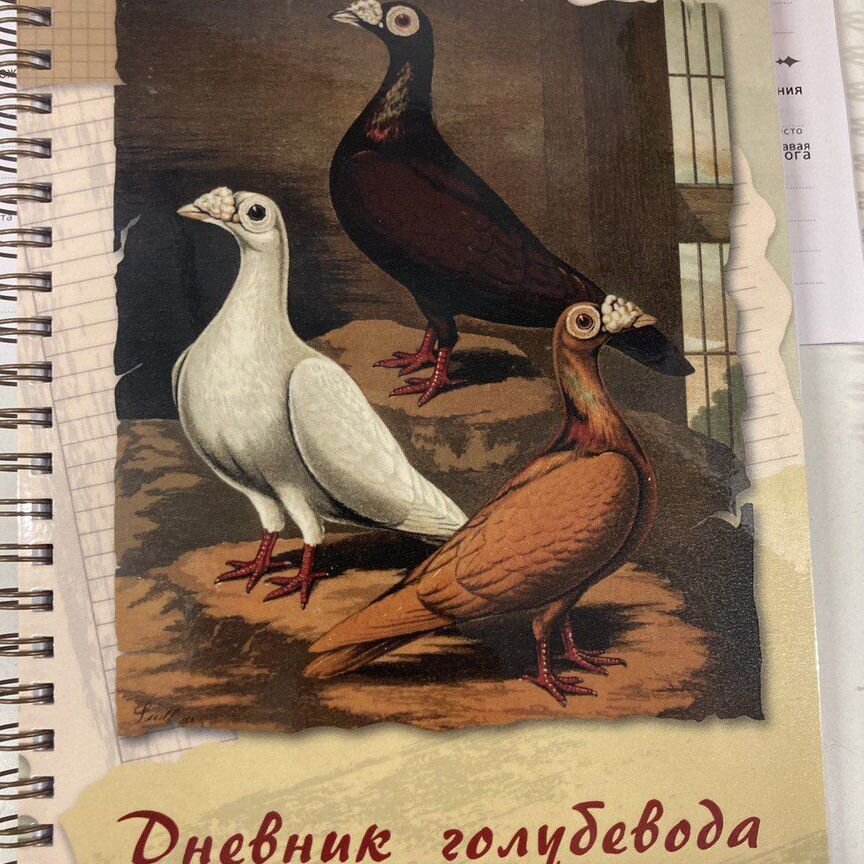 Дневник голубевода