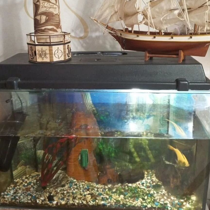 Аквариум с рыбками