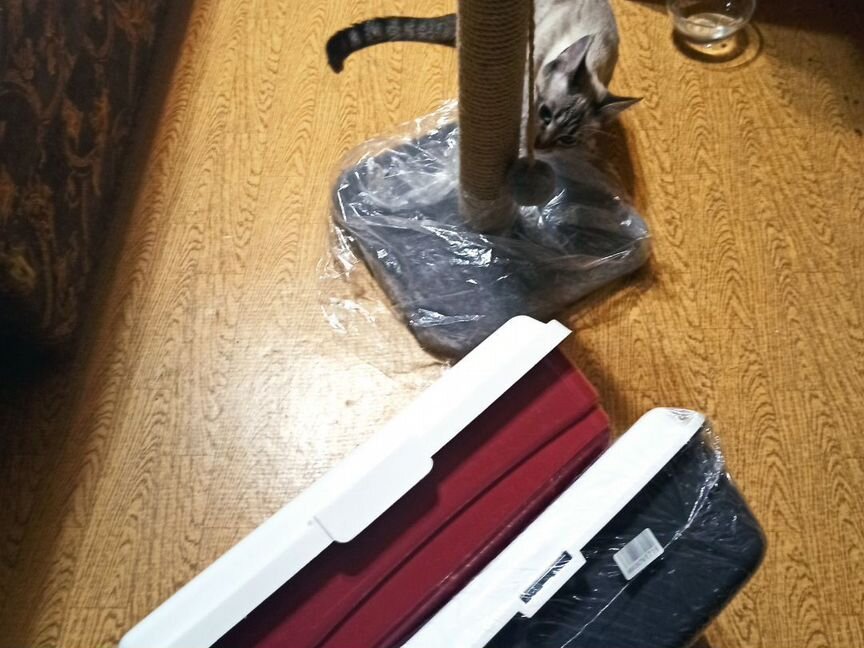 Когтеточка и лотки кошачьи