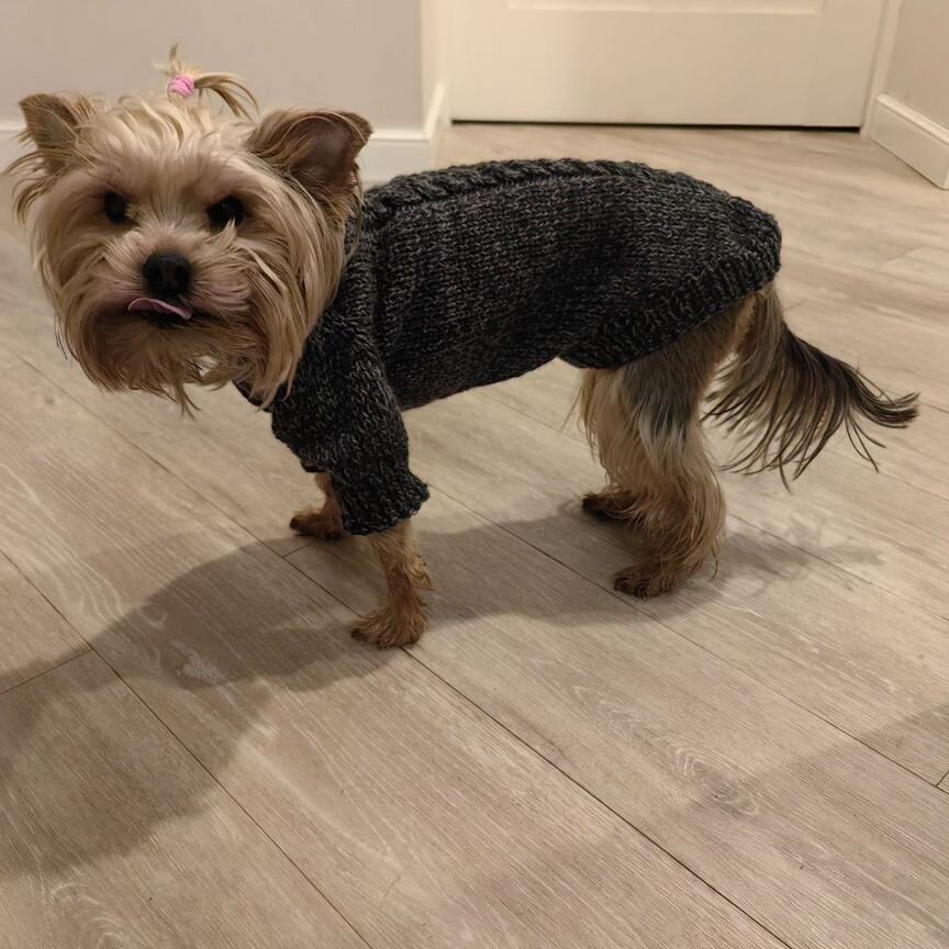 Свитер для собак мелких пород