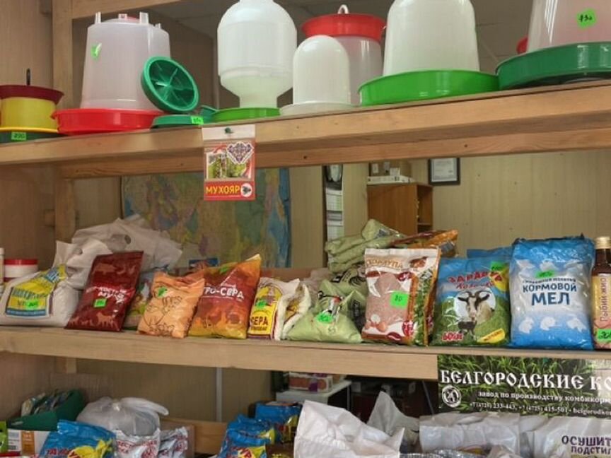 Зерно и комбикорма