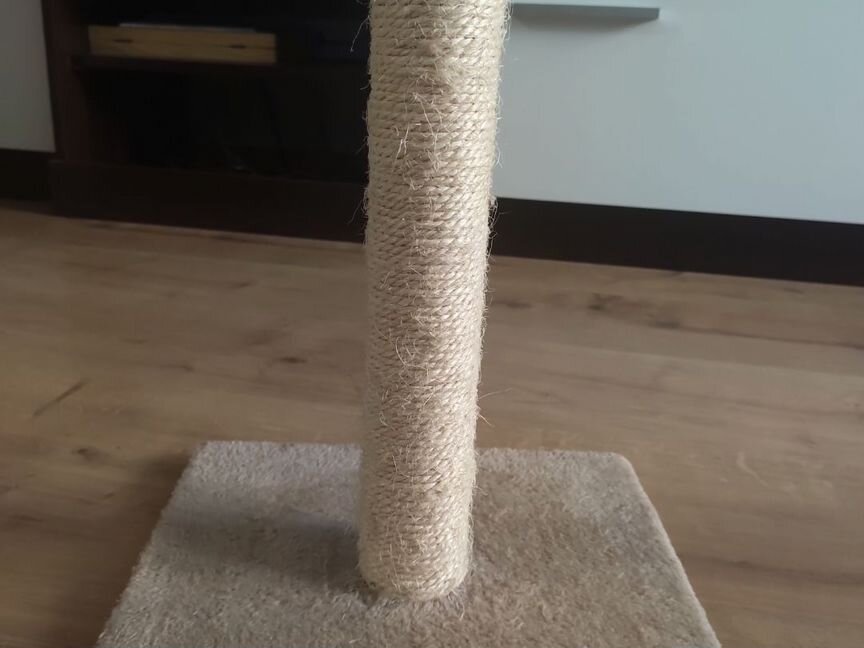 Когтеточка