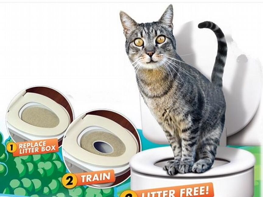 Кошачий туалет