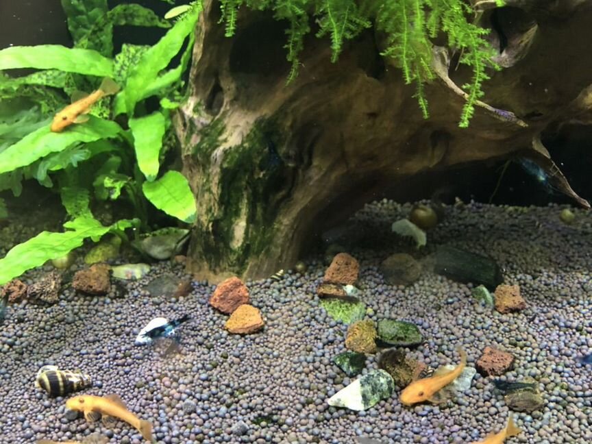 Украшение для аквариума