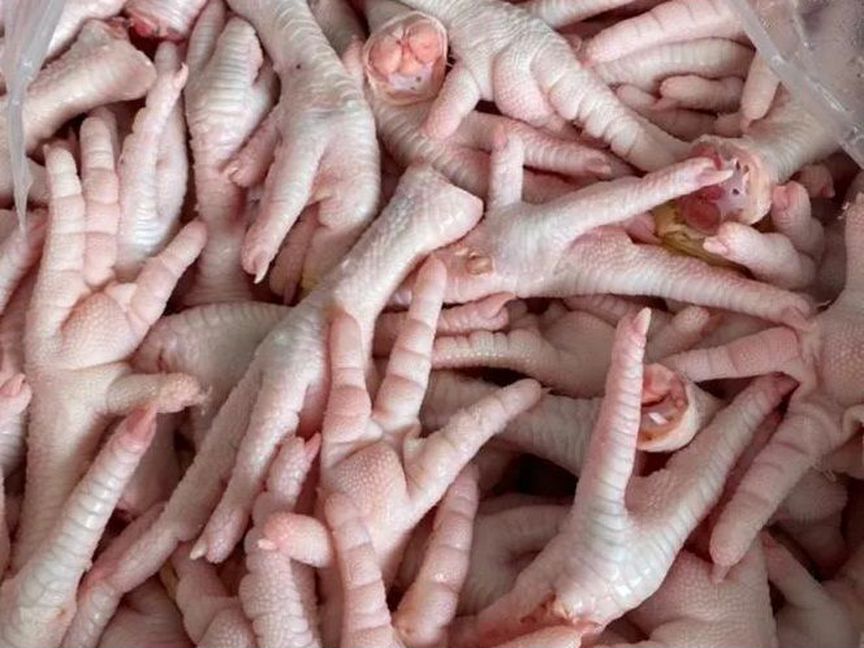 Куриные и утиные субпродукты для себя животных