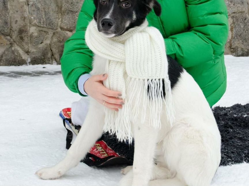 Малыш,8 месяцев