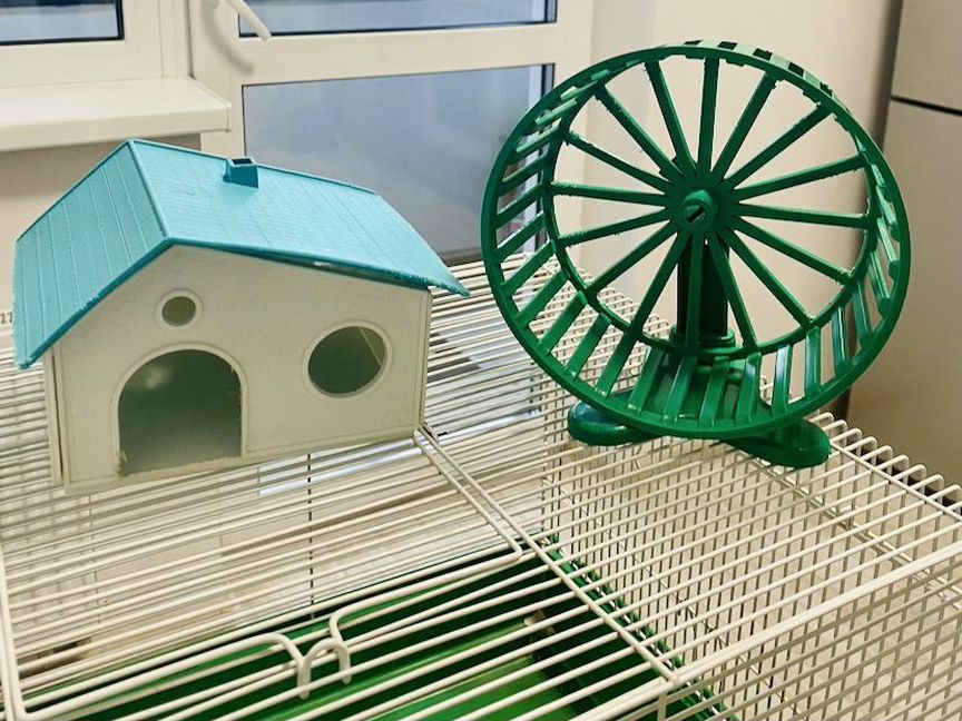 Колесо и домик для хомяка