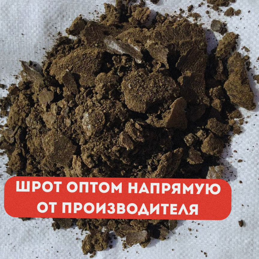 Шрот подсолнечный оптом ГОСТ