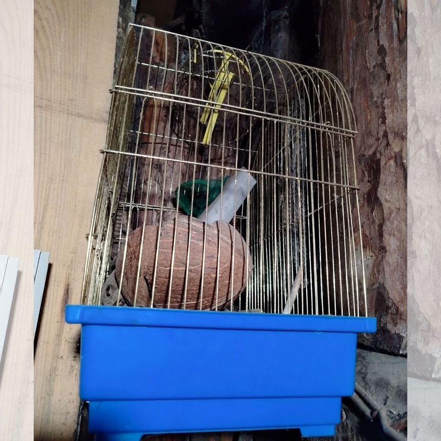 Клетка для попугая