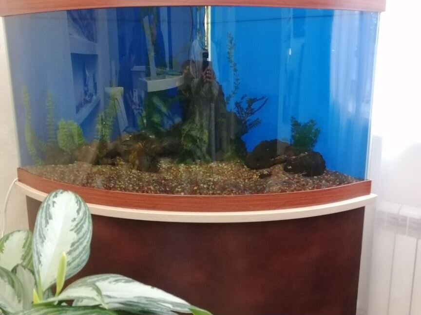 Аквариум с тумбой
