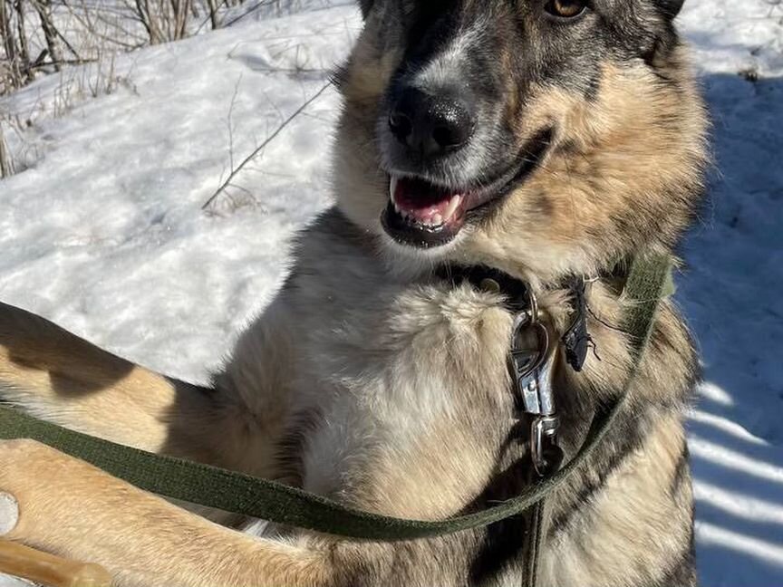 Шикарная Тесса в ожидании чуда