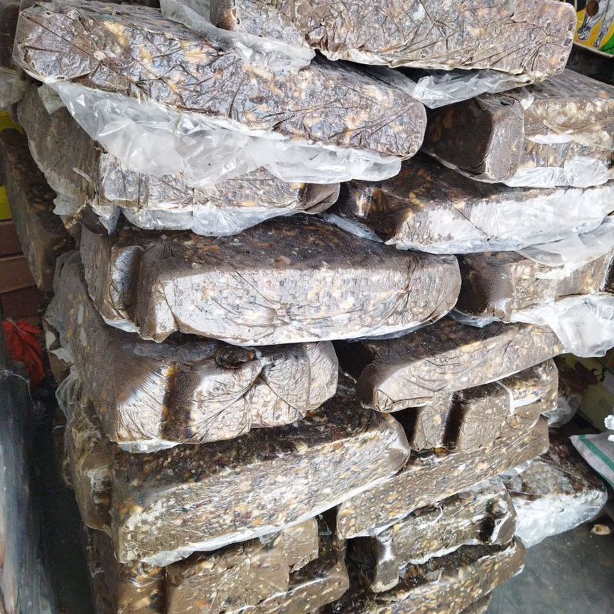 Отходы (Моллюска Рапана) корма для животных оптом