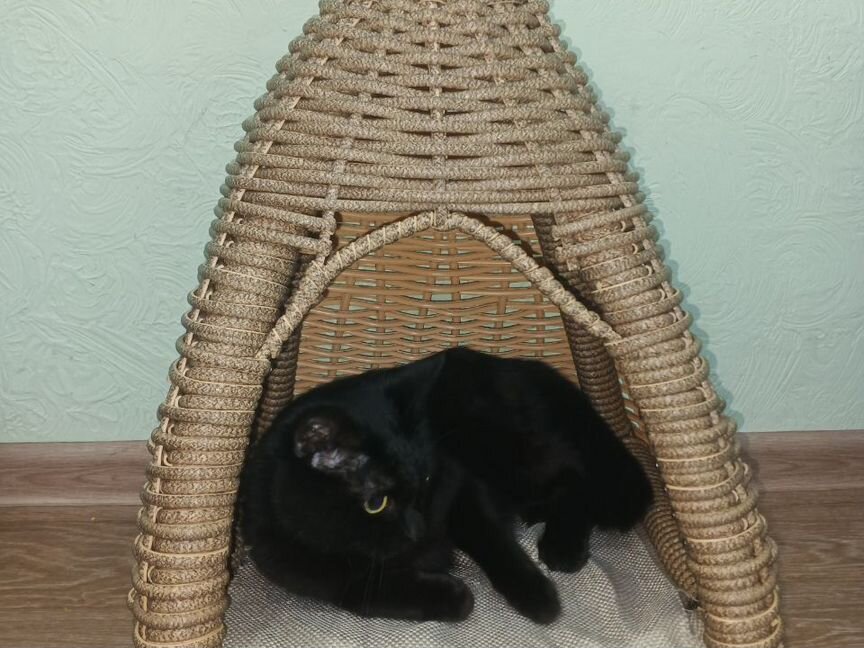 Домик для кота