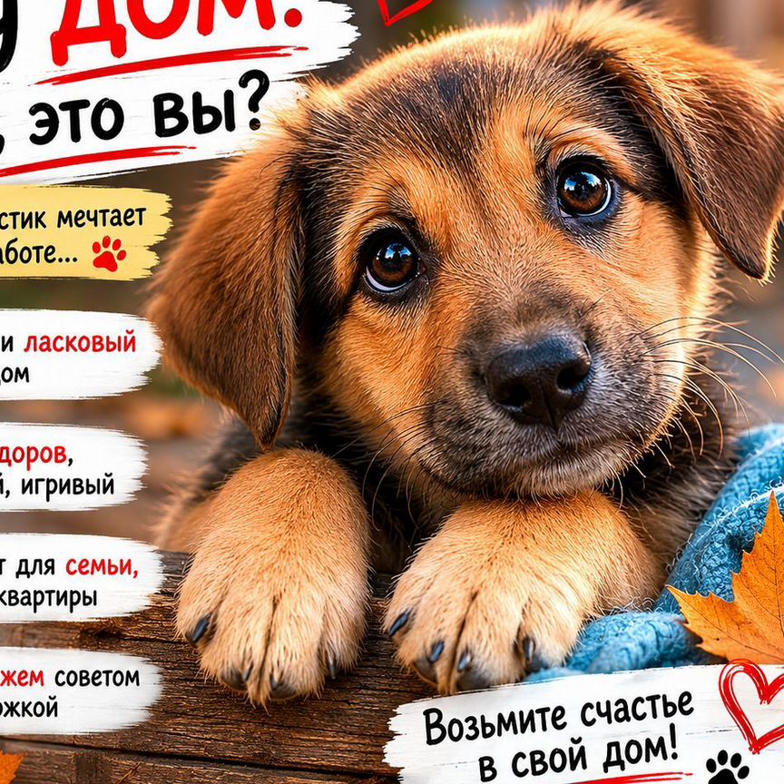 Немецкая овчарка, щенок