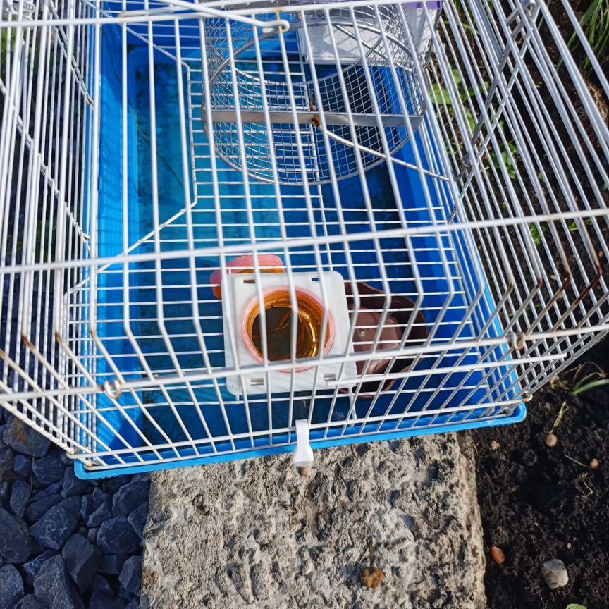 Клетка для грызунов большая бу