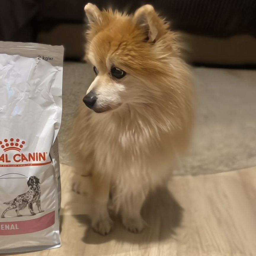 Корм для собак royal canin renal 2 кг