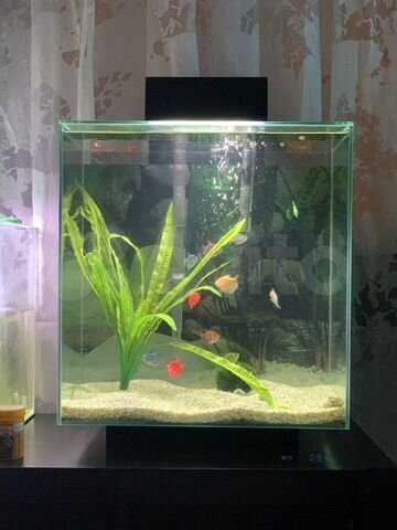 Аквариум Hagen