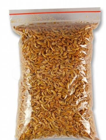 Гаммарус(мормыш)