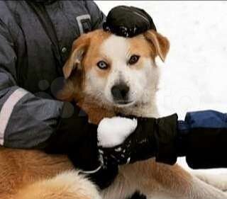 Мальчик, 4,5 месяцев, ищет семью
