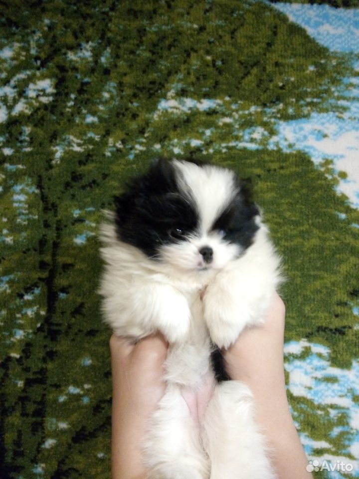 Малышка для дома и души