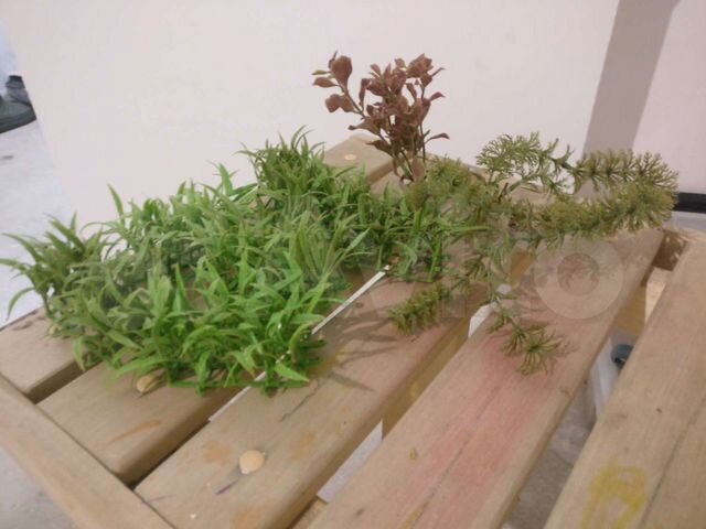 Флорариум. Трава для аквариума, пластик