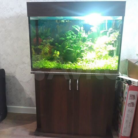 Аквариум с тумбой бу